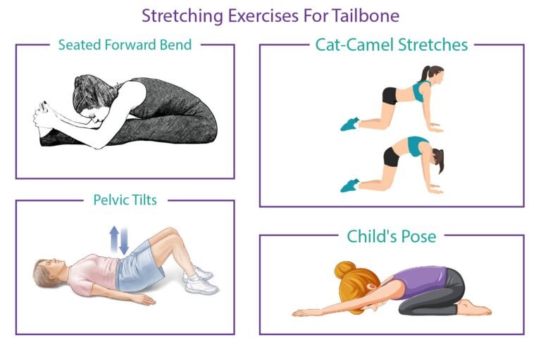 What is Tailbone Pain? Causes and Exercises to Provide Comfort